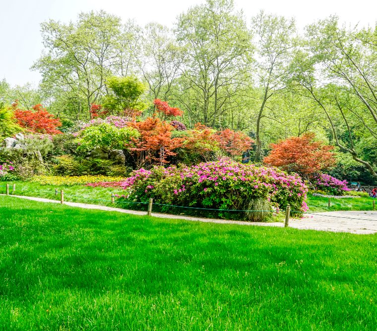 About us - Sunset Services